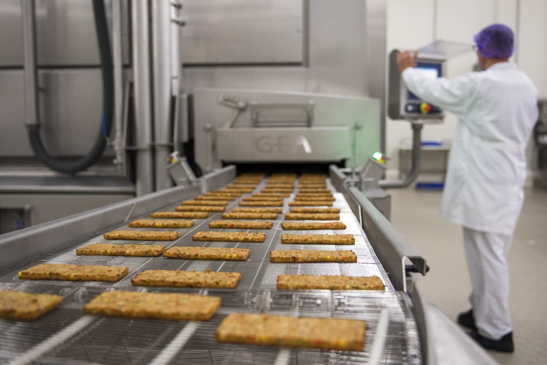 Meat substitutes based on grass-based proteins